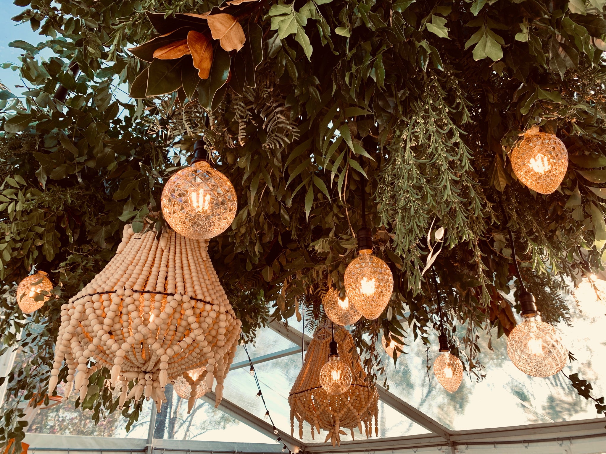 Festoon Lights | Festoon Lighting Australia – The Festoon Guys